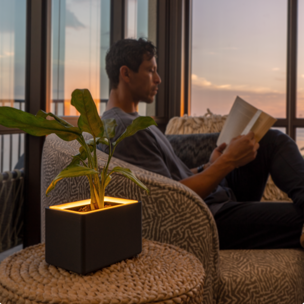 Blume Light: Elegant Self Watering Planters With Grow Light – Blüme Light