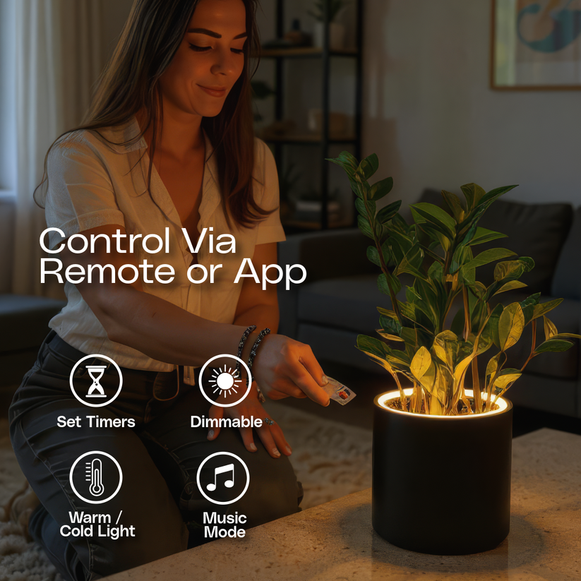 Blüme Light | LED Planter | Aura - ShopBlumeLight.com
