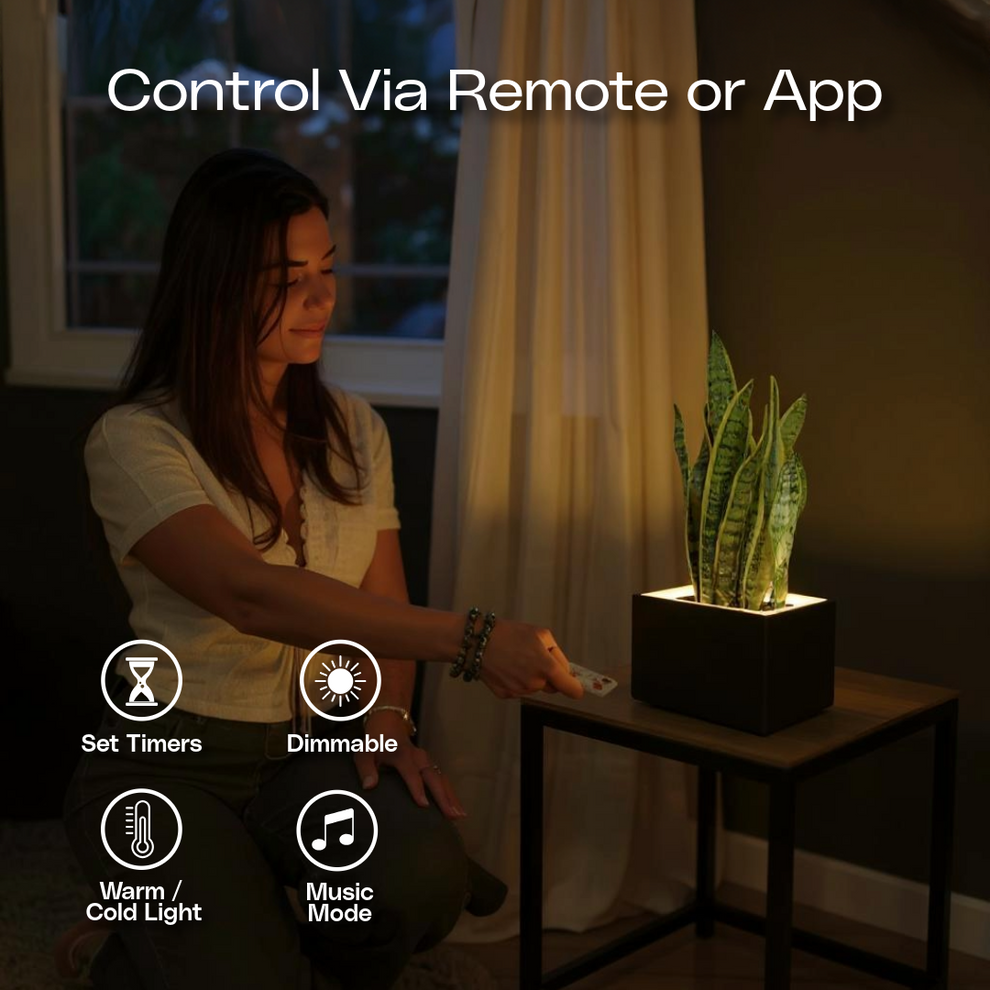 Blüme Light | LED Planter | Retro - ShopBlumeLight.com