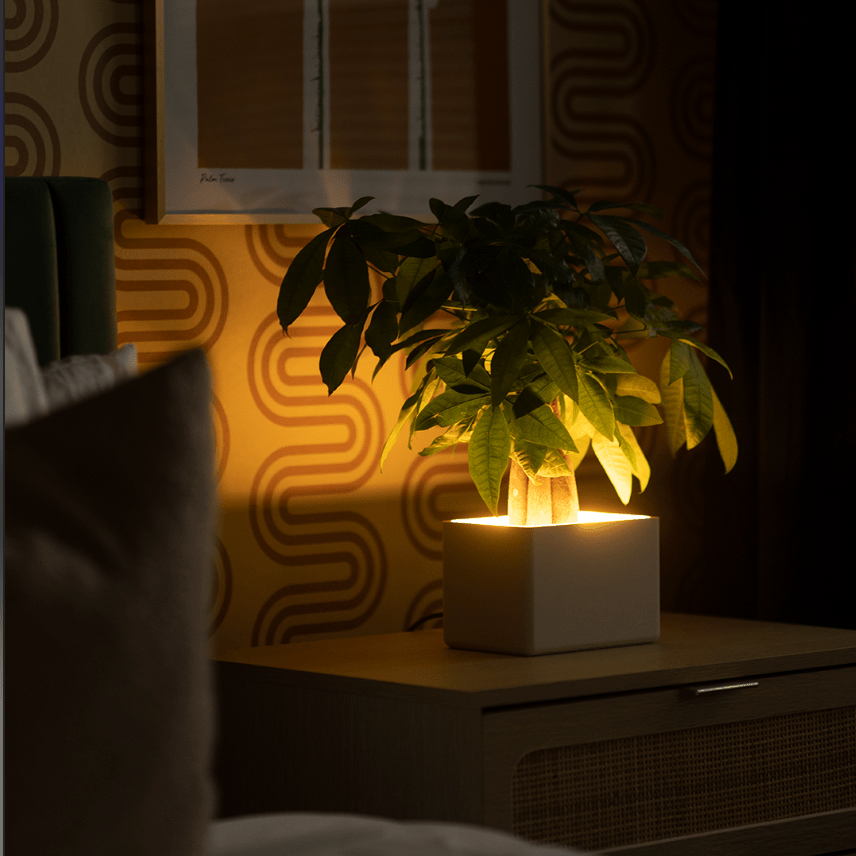 Blüme Light | LED Planter | Retro - ShopBlumeLight.com